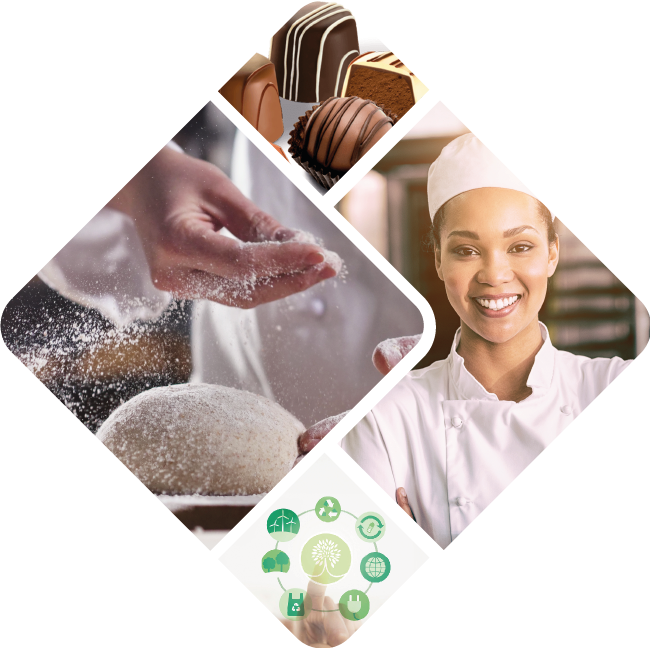 Panadería, Pastelería y Chocolatería - Tecnas